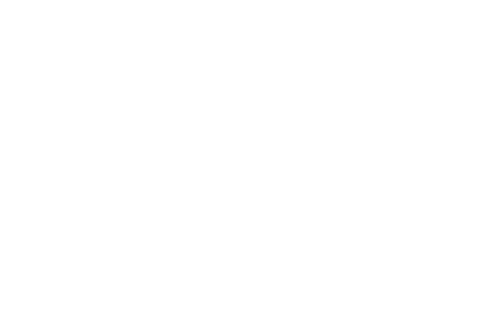 Delux Vip Transfer